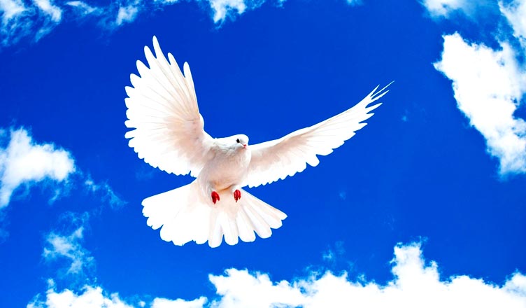 Kurrë nuk ka pasur një luftë të mirë ose një paqe të keqe - Albert Vataj